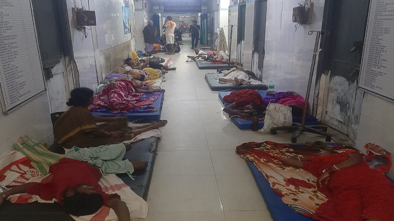 aler for barsati bimari in bihar diarrhea dengue news