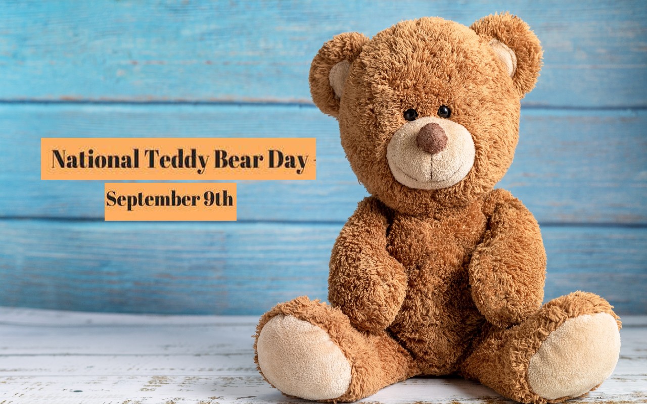 National Teddy Bear Day 2022: टेडी बियर डे आज, जानिए क्यों मनाया जाता ...
