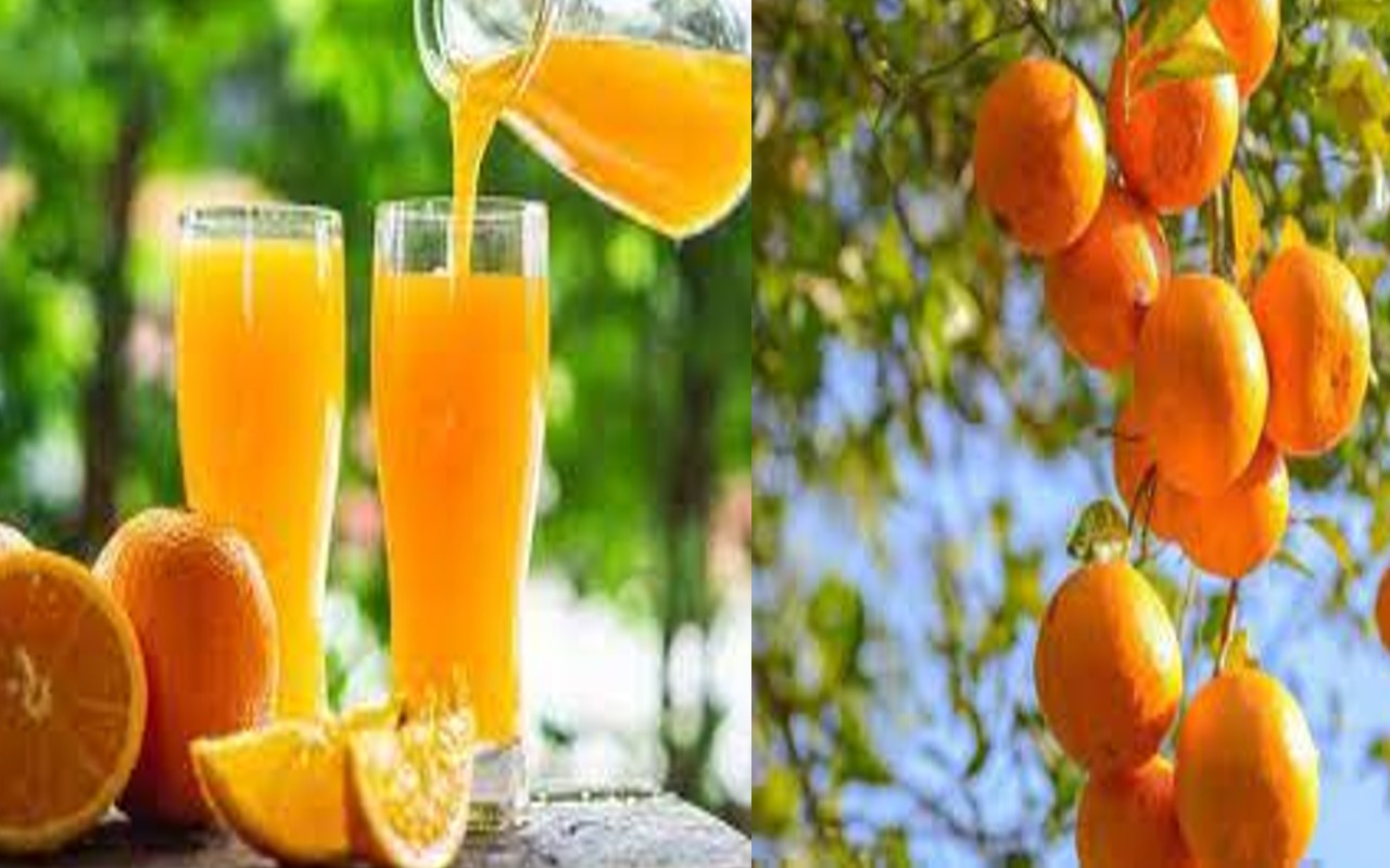 There are many benefits of drinking Kinnow juice