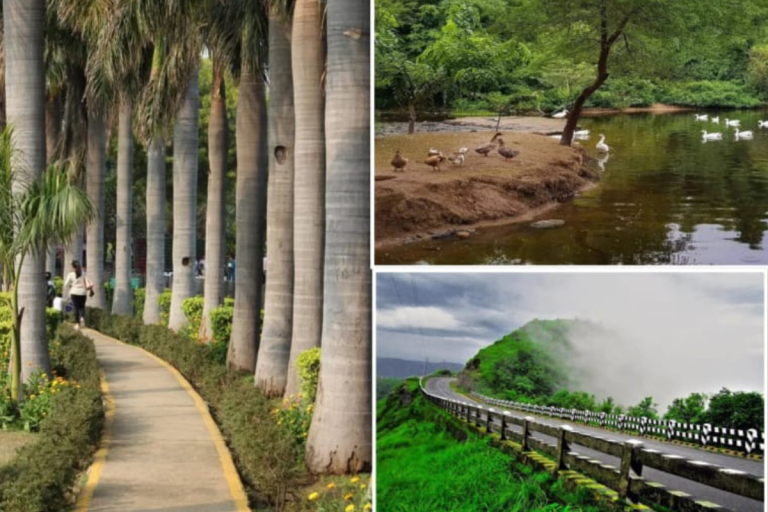 Monsoon Picnic Spots in Delhi: मानसून में घूमिए दिल्ली की ये 8 खूबसूरत जगहें, फैमिली टाइम होगा ...