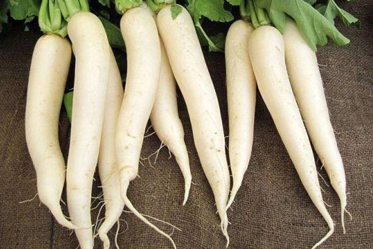 Radish Manchurian Recipe: साधारण मूली से बनाएं होटल-स्टाइल मंचूरियन